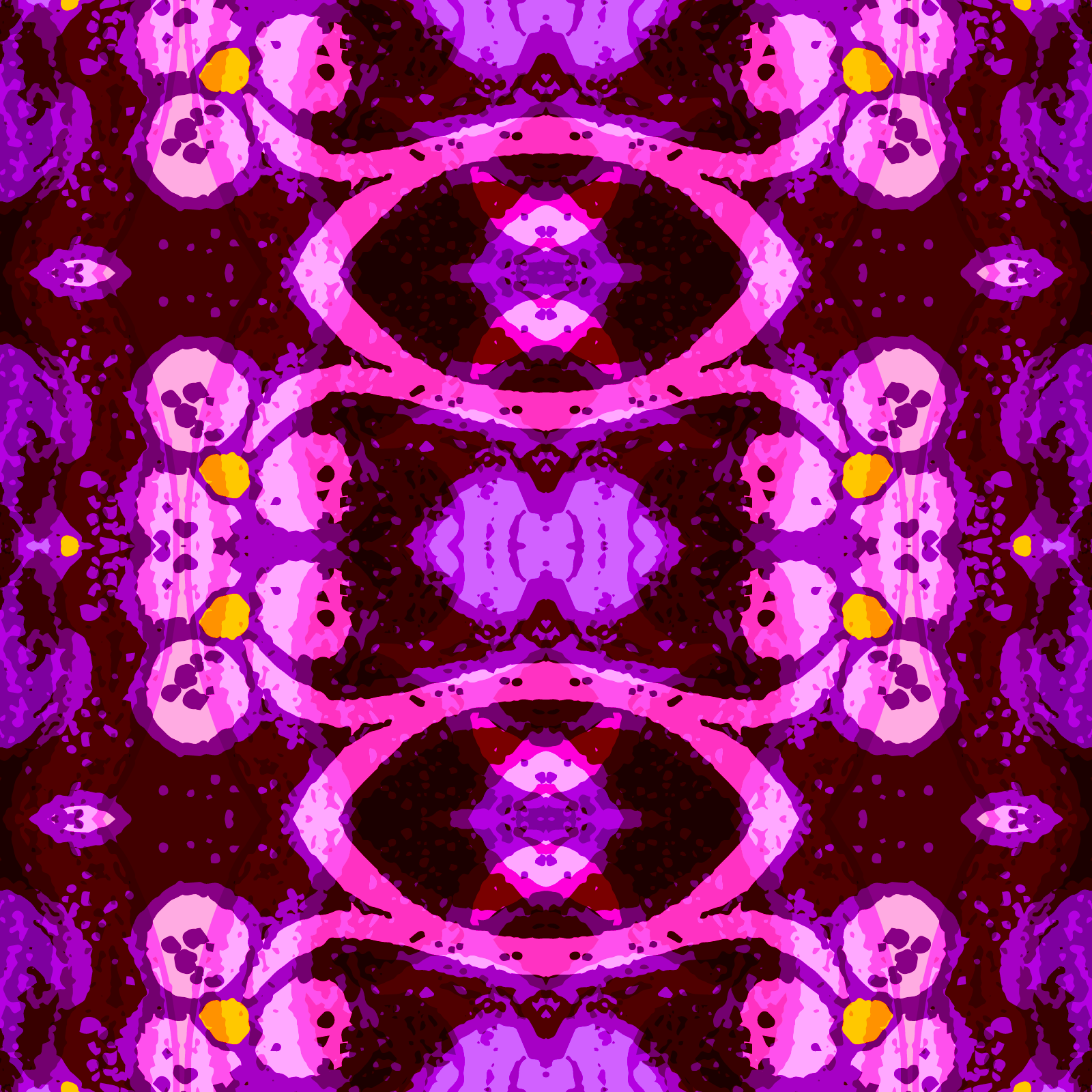 Create Your Own Collection. – Timothy Adams Chocolates